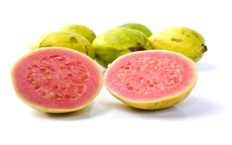 Todos los beneficios y usos de la planta medicinal guayaba