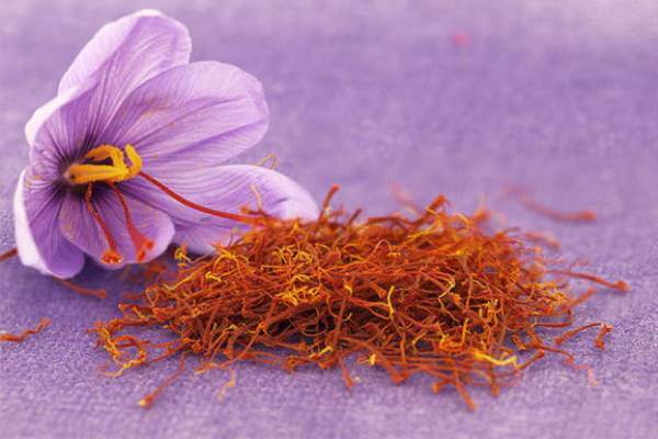 Azafrán: Propiedades y beneficios para la salud - Las Plantas Medicinales